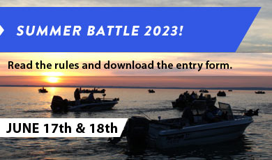 Welcome to Battle On Bago!